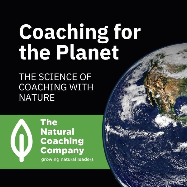 Homepage - The Natural Coaching Company