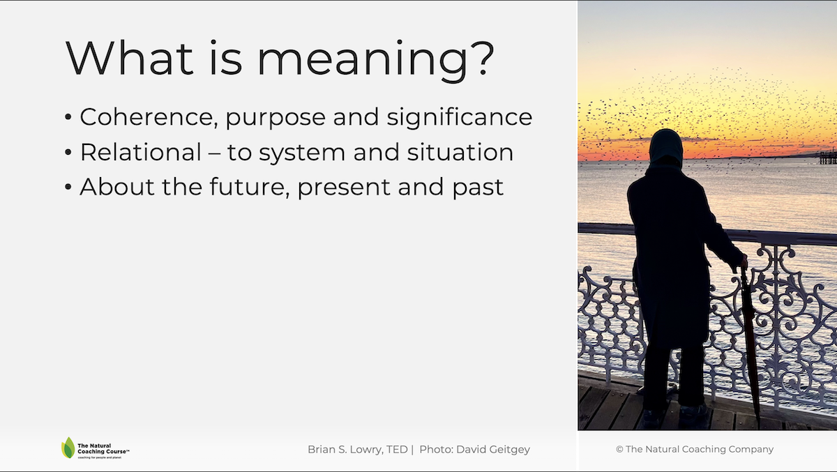 Webinar reveals how to create meaning and purpose through nature coaching