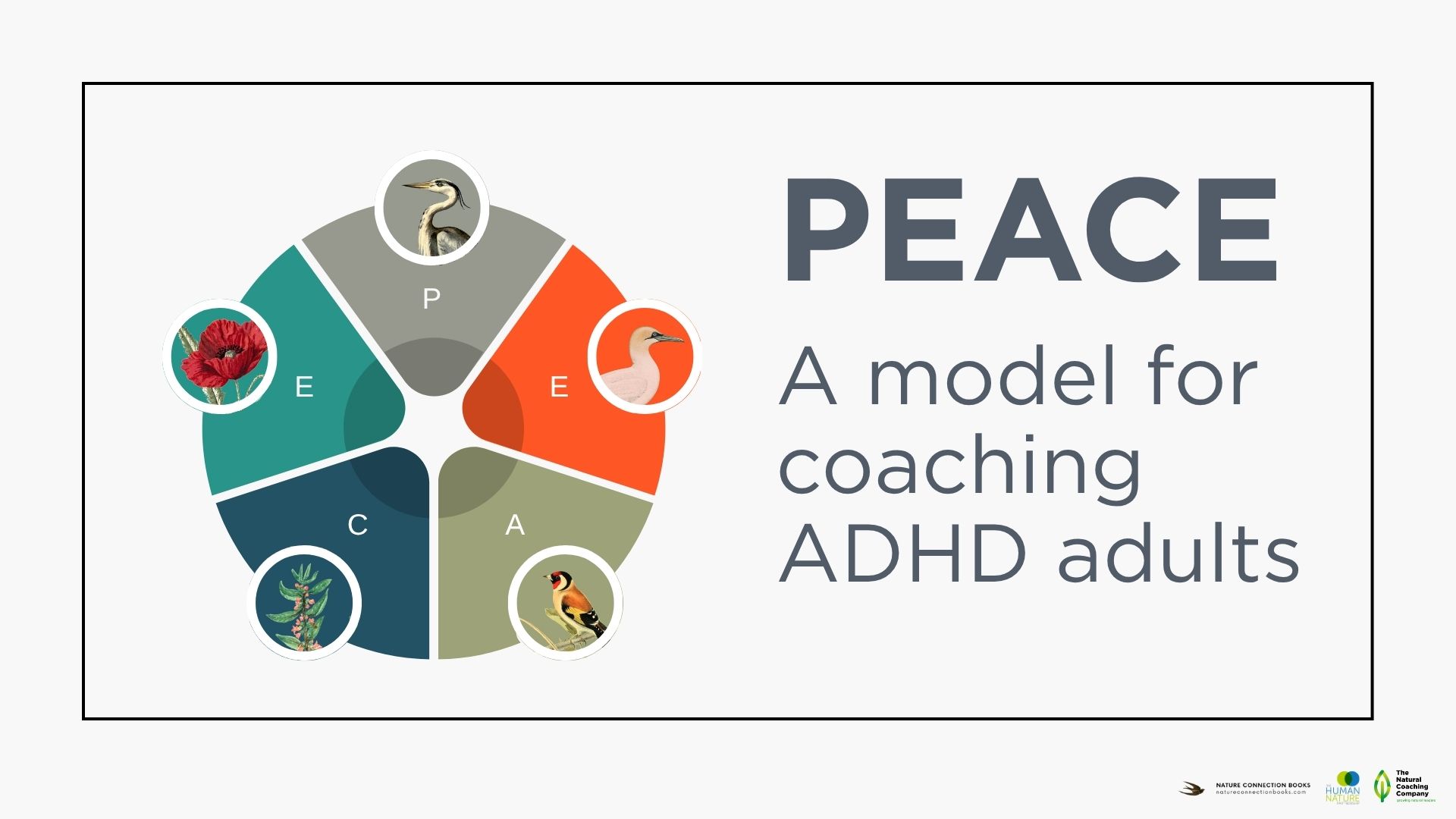 How can nature based coaching support ADHD adults? Come to a free ...