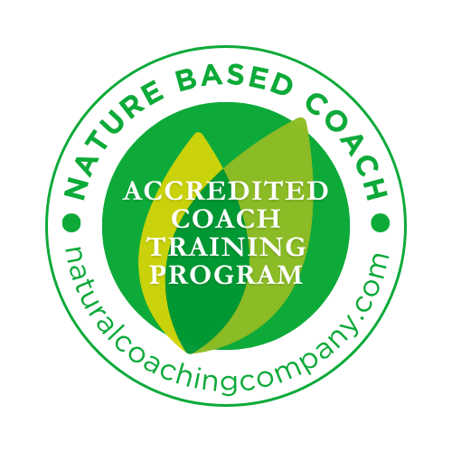 Training and Leadership Development | Nature Based Coaching