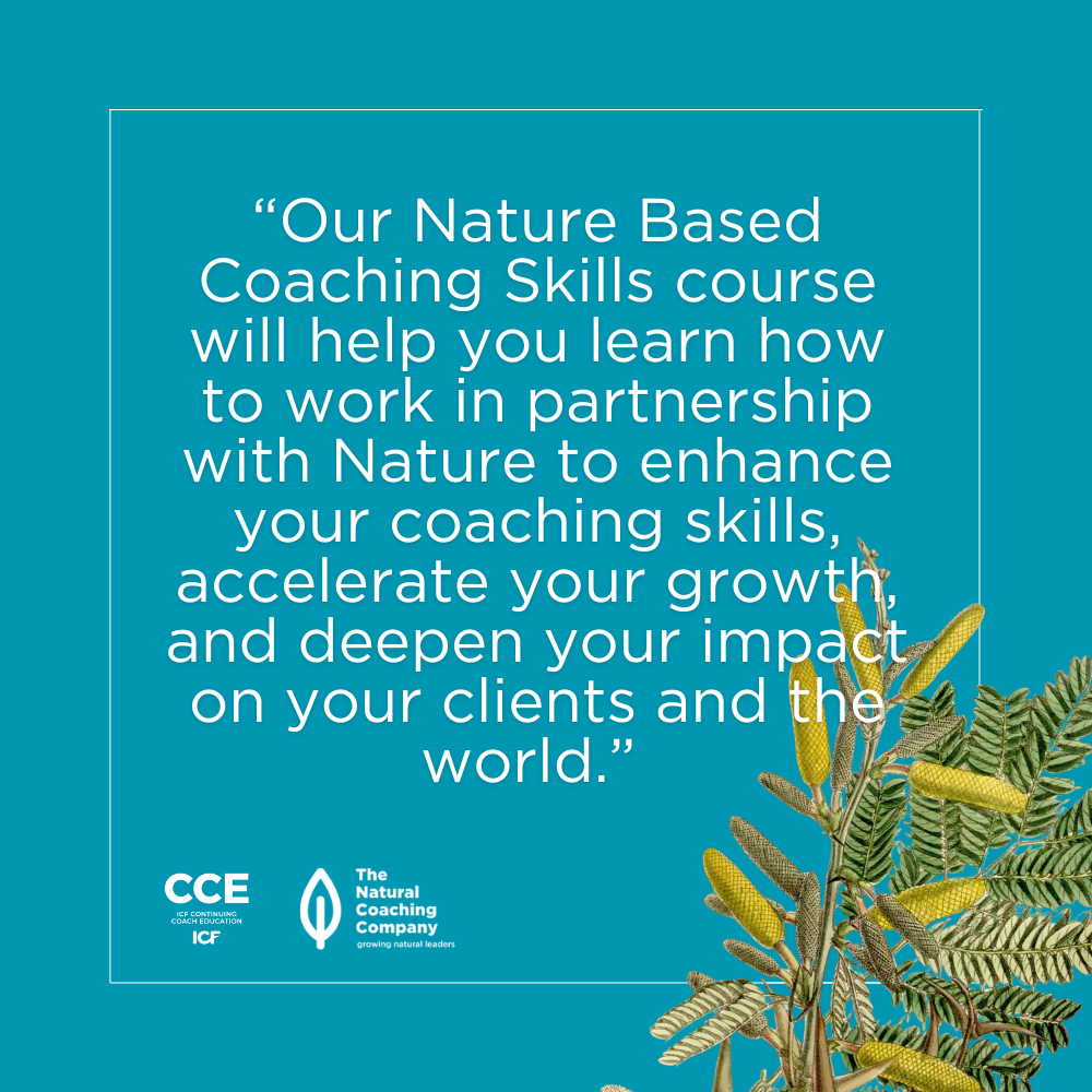 Nature Based Coaching Skills course - April 2026